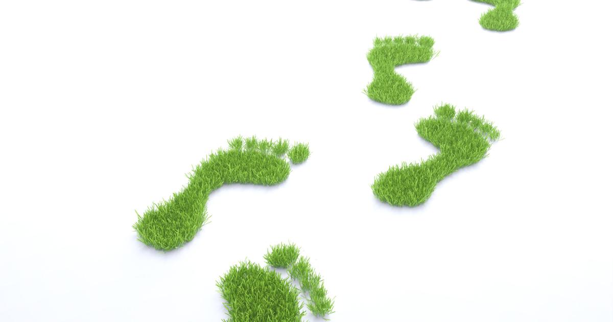 Evolution2Green - Transformation Paths towards the Green Economy ...