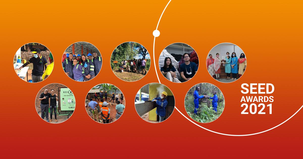 Winners of the 2021 SEED Awards | adelphi