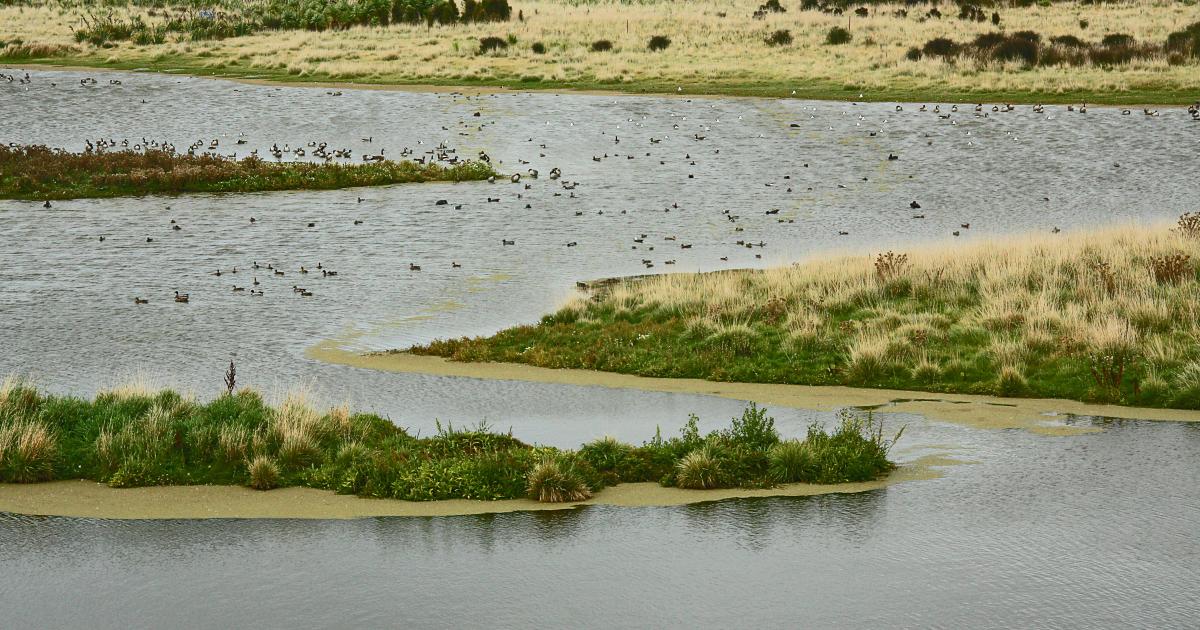 ENCA Recommendations: Restoring riverine and coastal wetlands in Europe ...